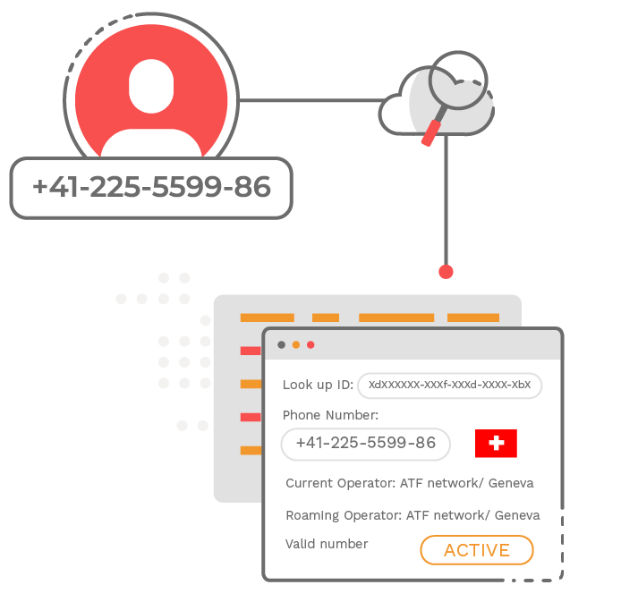 Phone Number Carrier Lookup | Lookup API | Valid Number Lookup